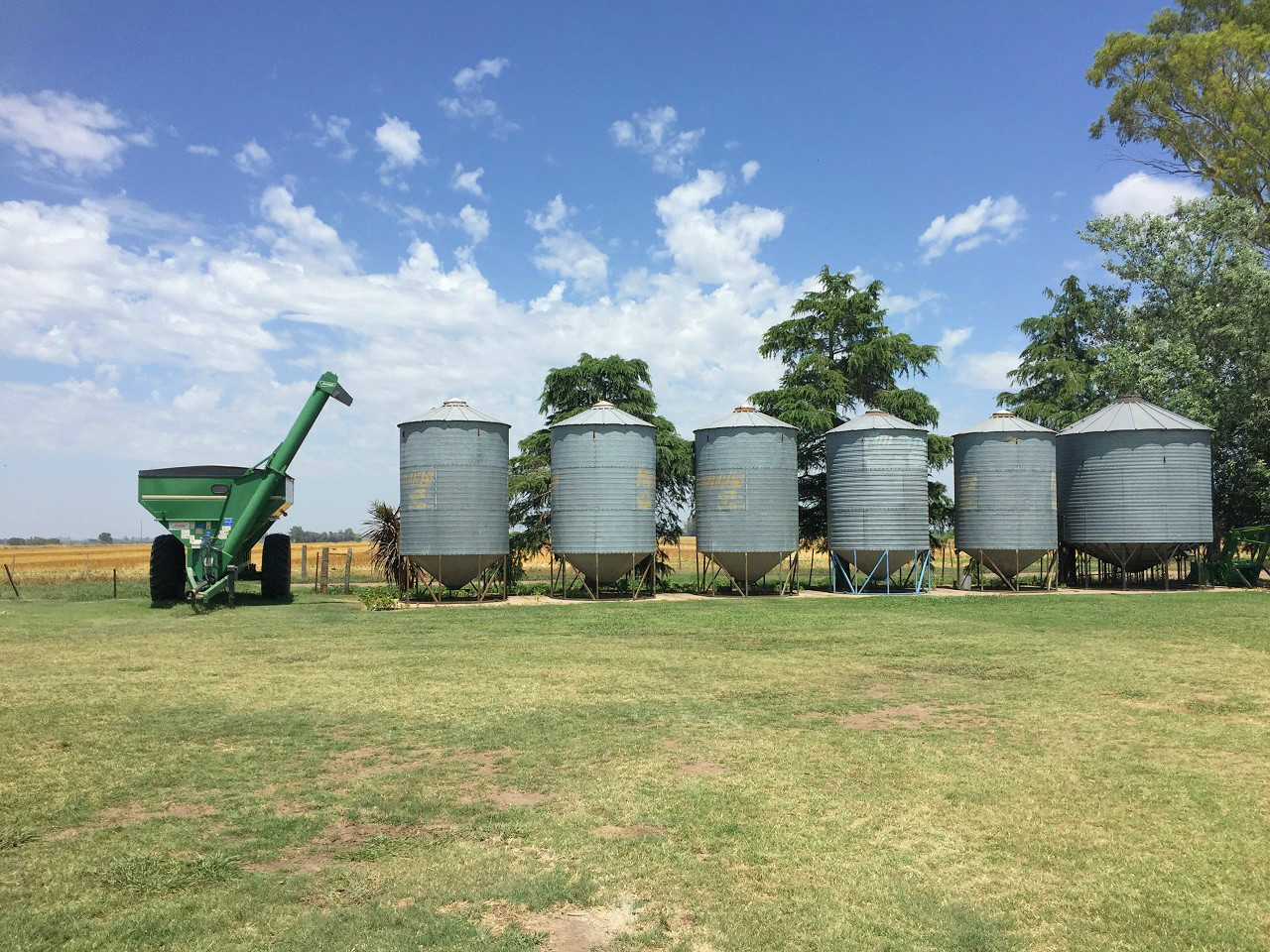 Qualidade sanitária de grãos de soja armazenados em silos metálicos na ...