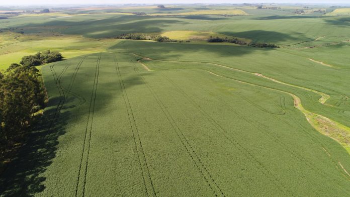 Projeto fortalece práticas agrícolas no Cerrado - MAIS SOJA - Pensou ...
