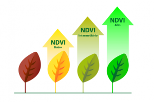 NDVI: o que é, como funciona e pra que serve - MAIS SOJA - Pensou Soja ...
