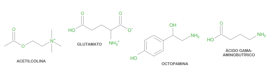 Como funcionam os inseticidas carbamatos e organofosforados? - MAIS ...