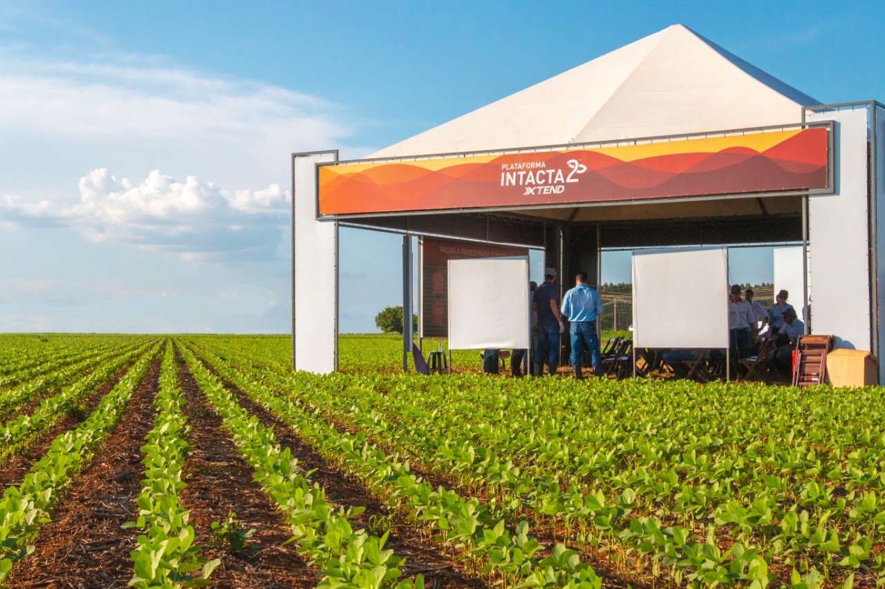 Agroeste apresenta variedades de soja com tecnologia Intacta 2 Xtend ...