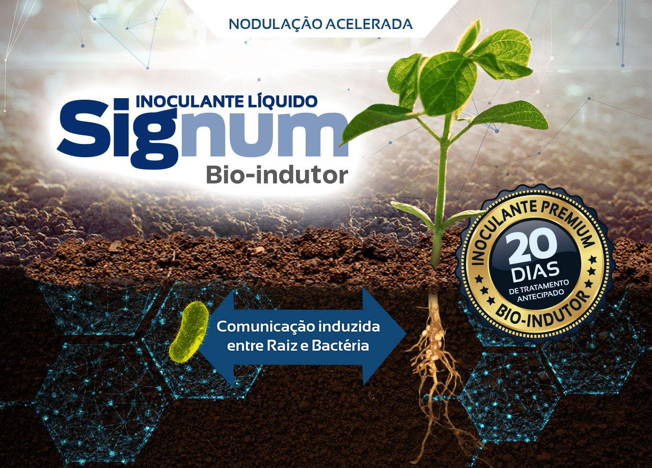 Rizobacter anuncia lançamento de inoculante Bio-Indutor Premium para a ...