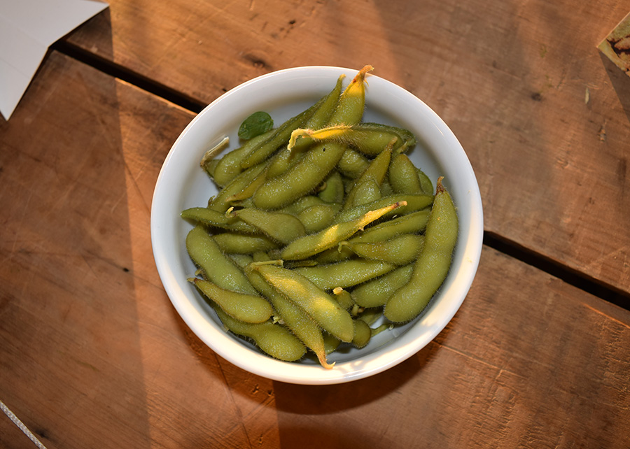 Desenvolvida primeira soja brasileira para ser consumida como edamame ...