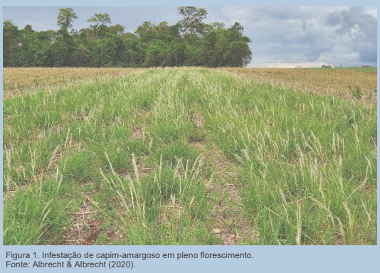 Mapeamento do capim-amargoso (Digitaria insularis) com resistência a ...