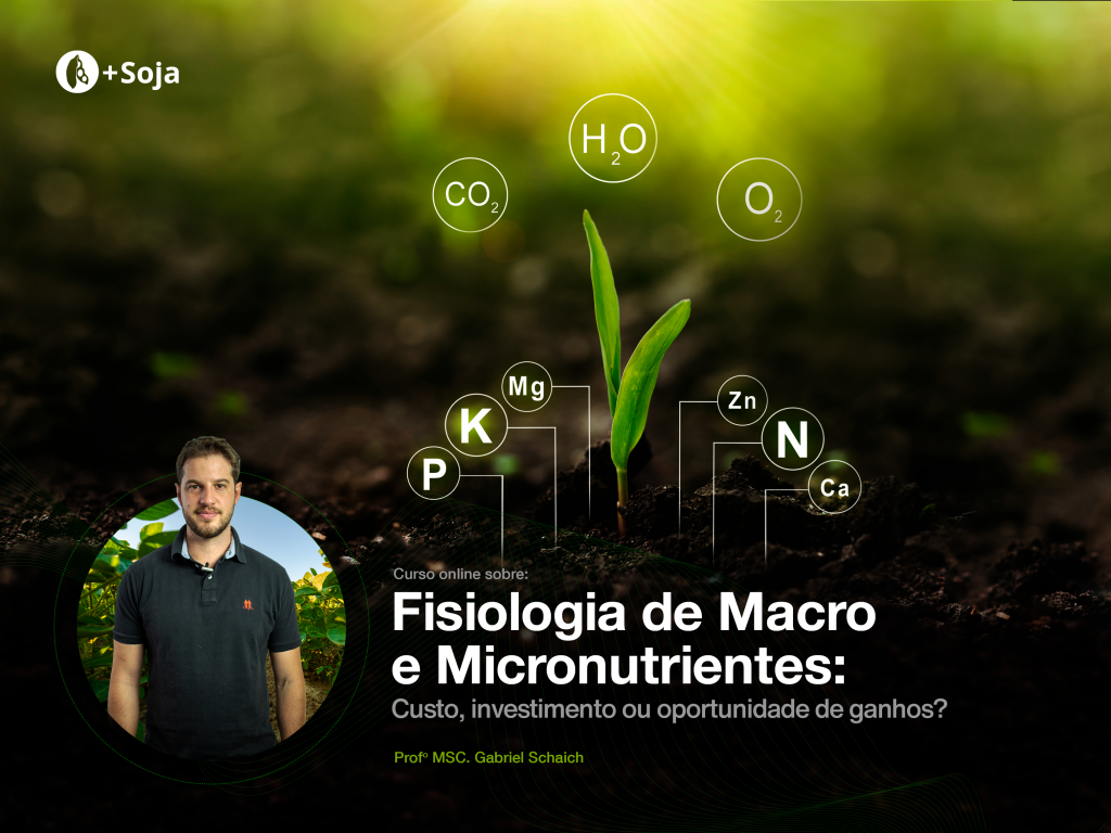 Fertilizantes fazem mal à saúde? | MAIS SOJA - Pensou Soja, Pensou Mais ...