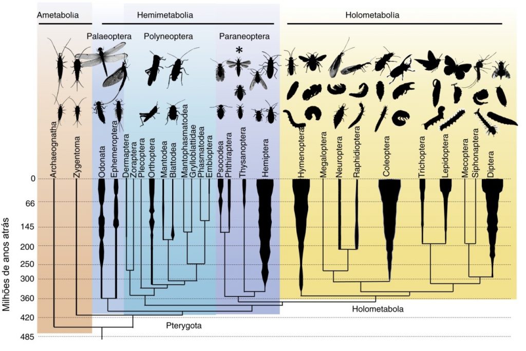 Como os insetos-praga surgiram e por que isso nos interessa? - MAIS SOJA - Pensou Soja, Pensou ...