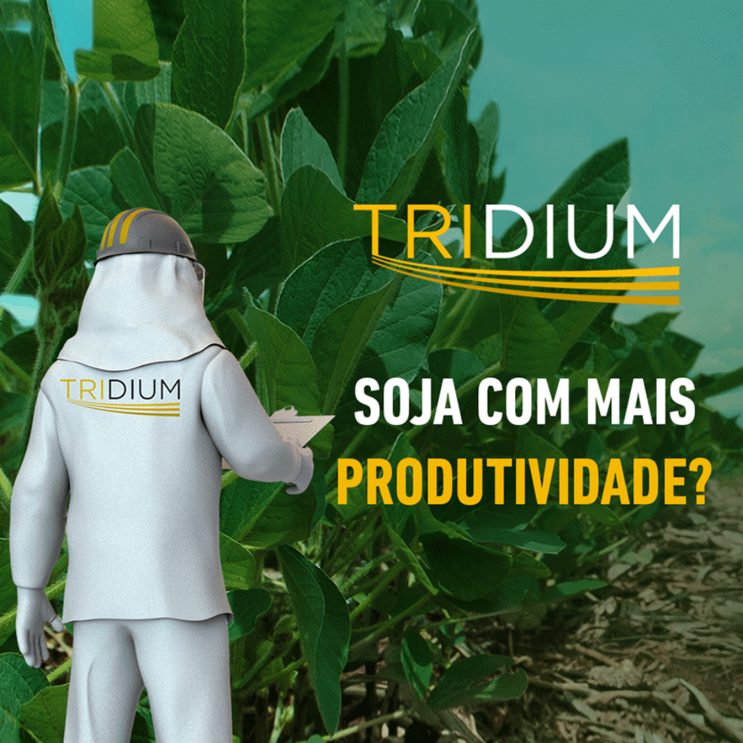 MAIS SOJA - Pensou Soja, Pensou Mais Soja | Informação e conhecimento ...