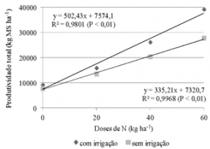 Tifton 85 é uma boa alternativa forrageira? - MAIS SOJA - Pensou Soja ...
