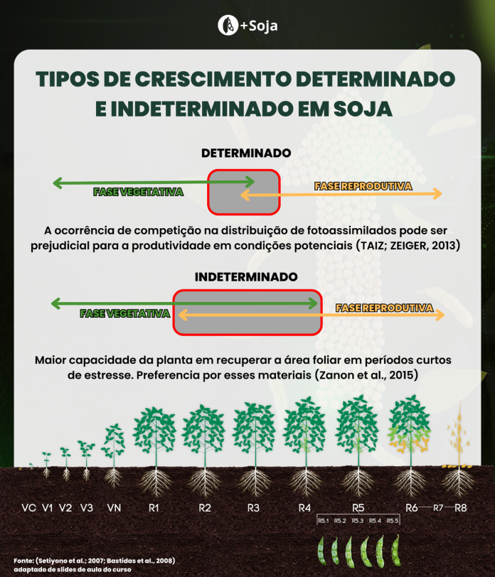 Quais os tipos de crescimento da soja? - MAIS SOJA - Pensou Soja ...