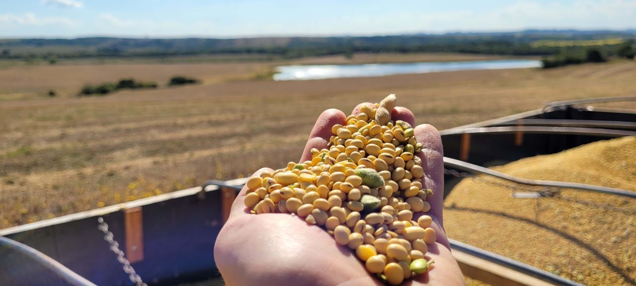 Soja encerra a semana em baixa com evolução do plantio nos EUA - MAIS ...