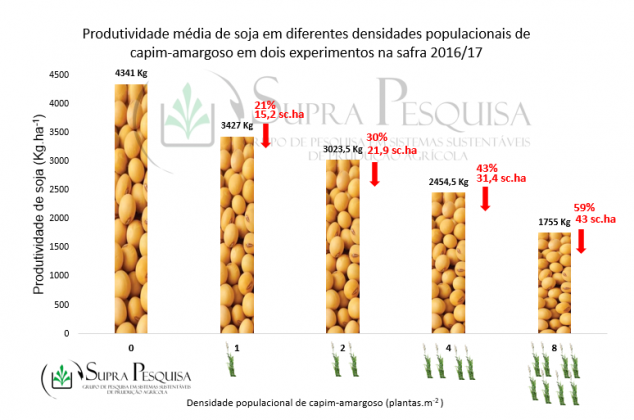 Capim-amargoso: Importância e dicas de manejo em soja - MAIS SOJA ...