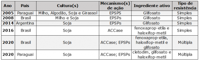 Capim-amargoso: Importância e dicas de manejo em soja - MAIS SOJA ...