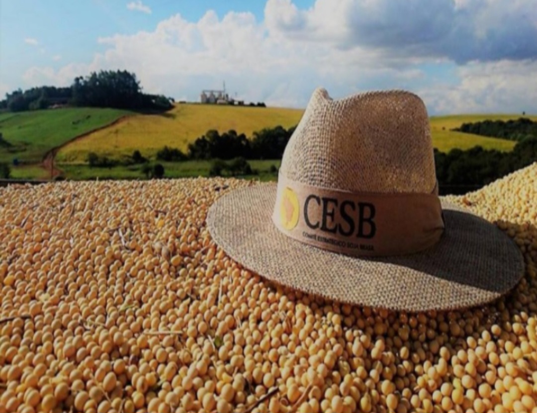 CESB anuncia adição de novos especialistas em seu quadro de membros ...