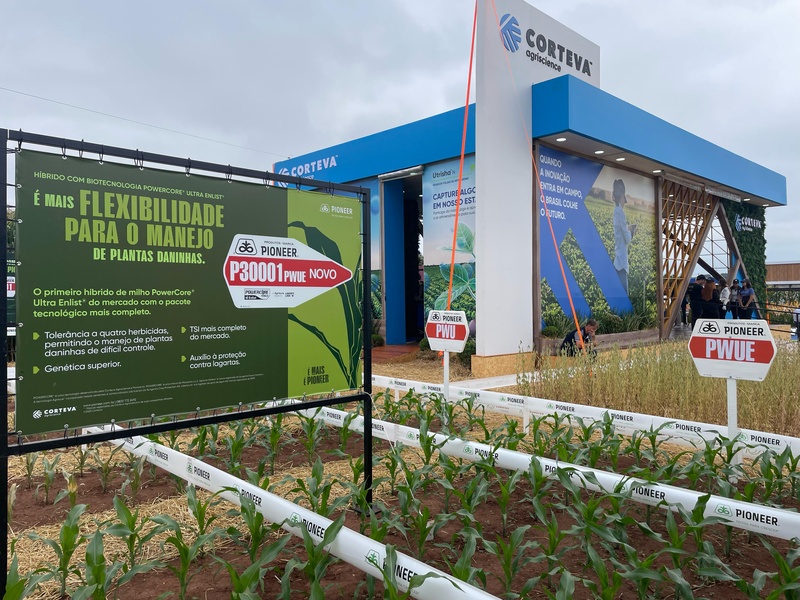 Pioneer® lança primeiro híbrido de milho com a biotecnologia PowerCore ...